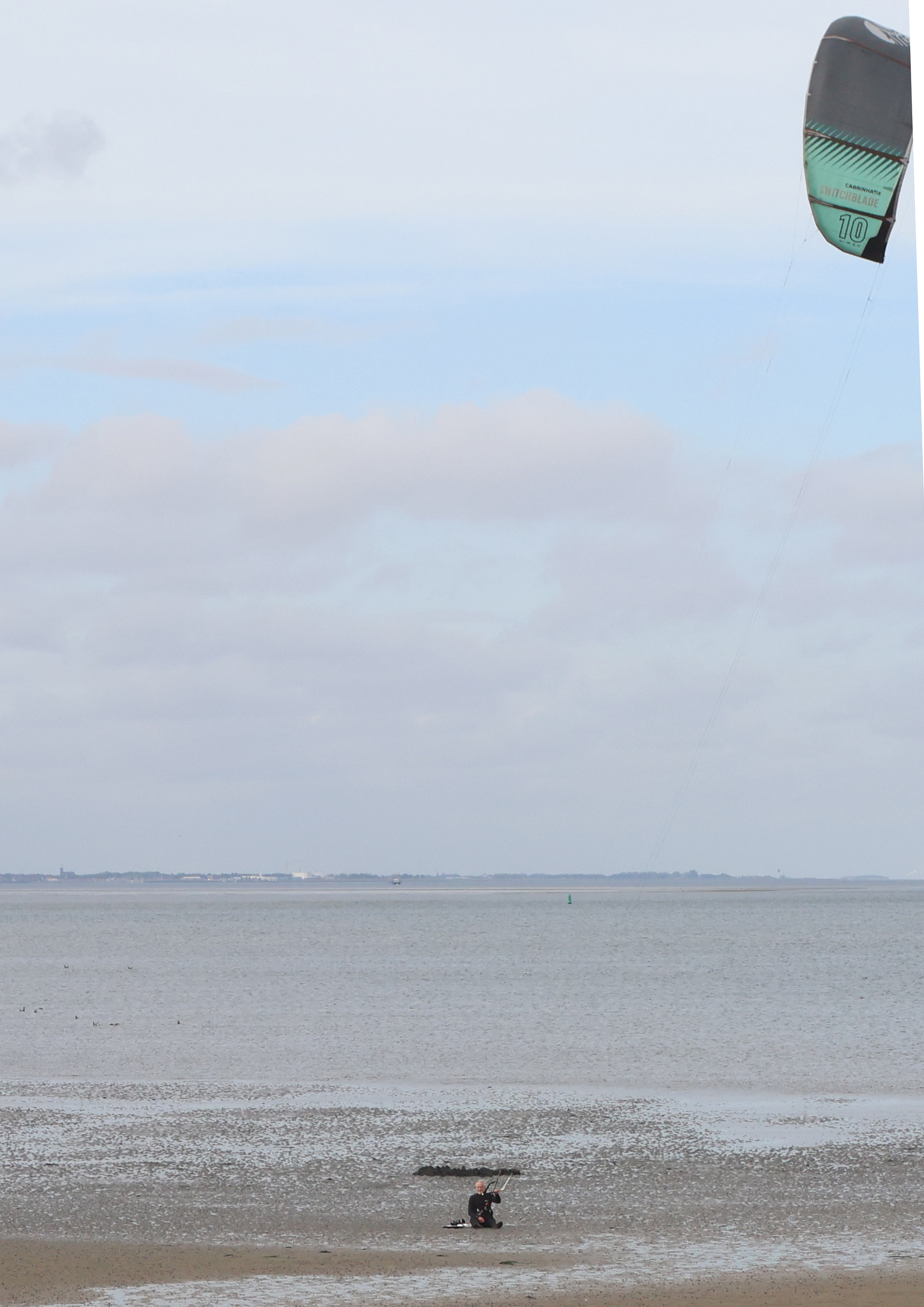 Strandbroeders op dijken en stranden in het Deltagebied 2022 ...